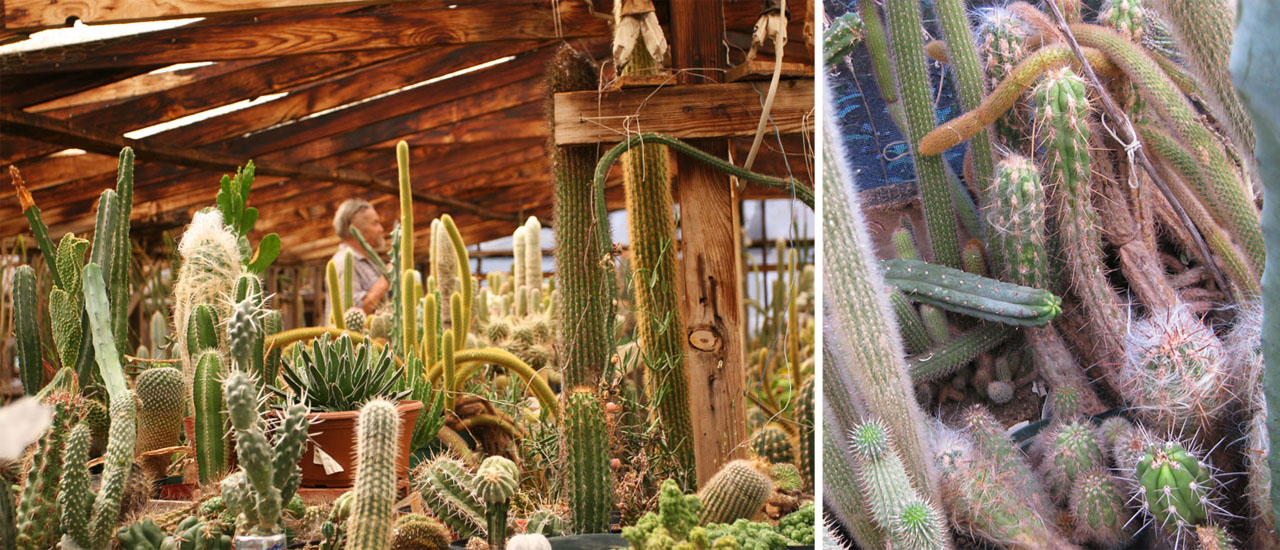 NMCR in 2010 – Trout's Notes